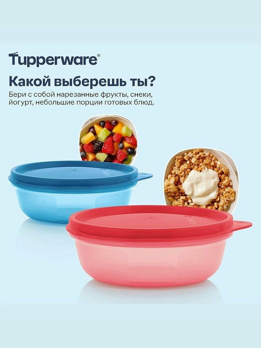 Ёмкость Хит-парад (300 мл), 2штуки красный и голубой, Tupperware -