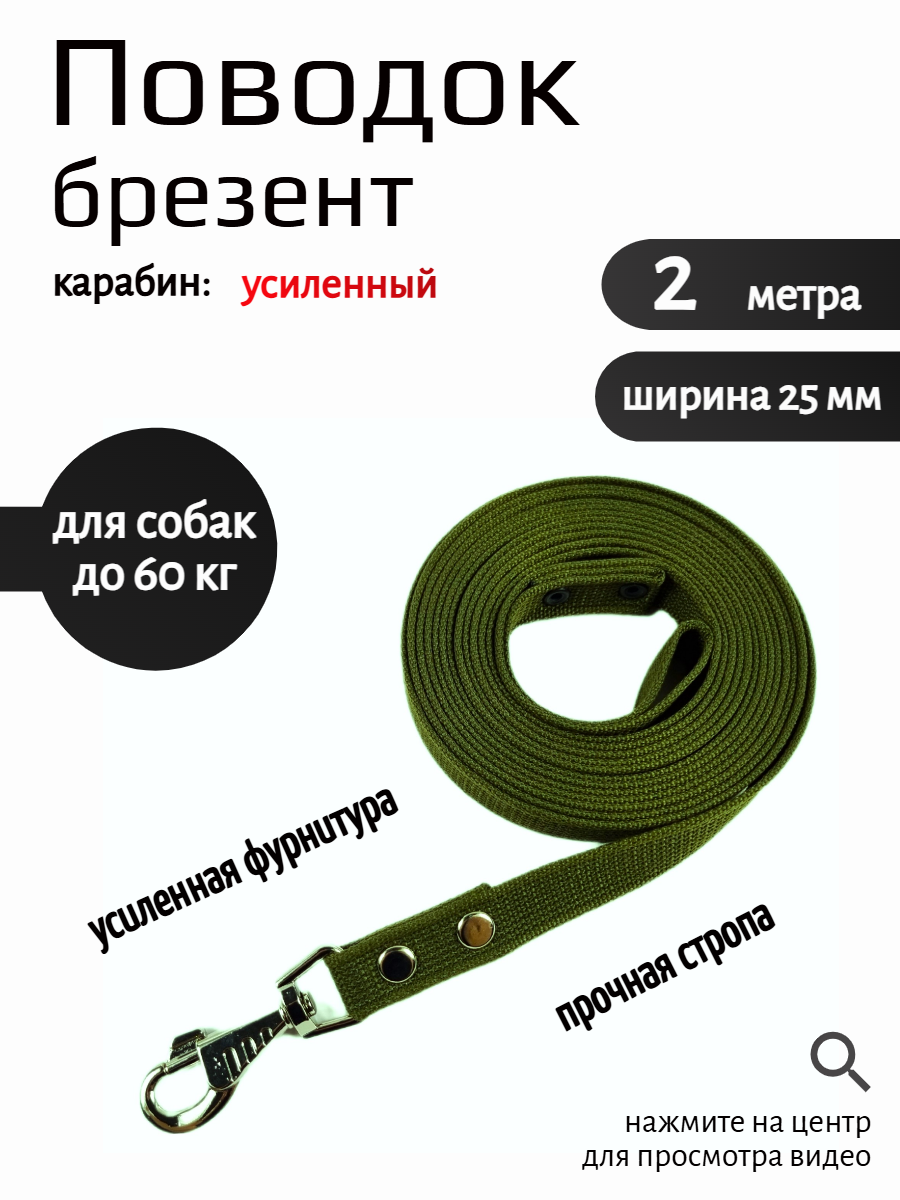 Поводок Хвостатыч для собак крупных пород брезент с карабином 2 м х 25 мм (зеленый)