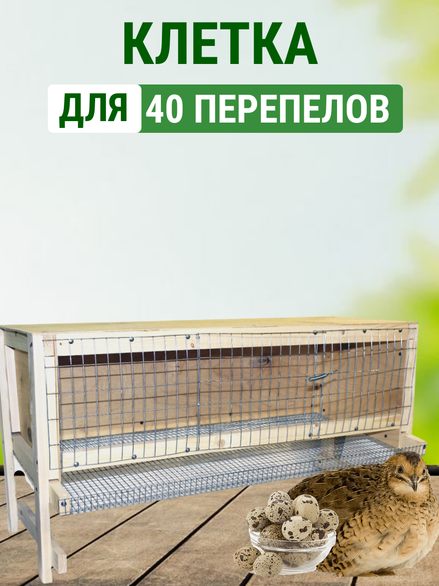 Клетка для перепелов на 40 голов с яйцесборником Подворье, деревянная