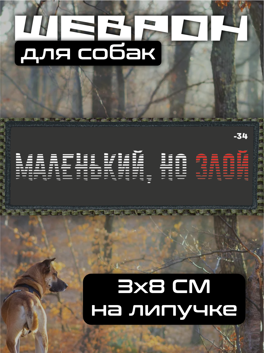 Шеврон на липучке для собак Маленький но злой