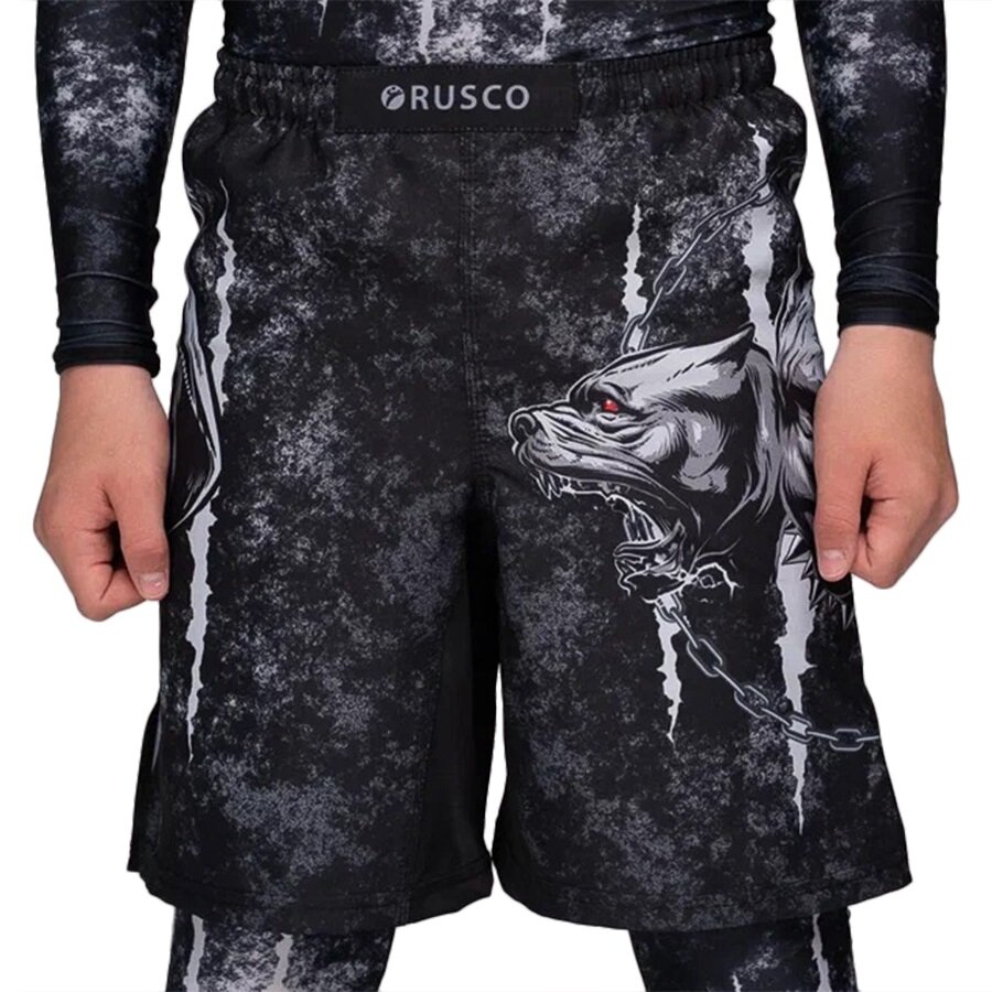 Шорты спортивные Cerberus