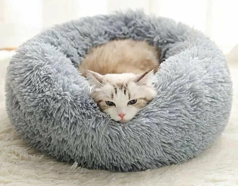 Лежак для животных