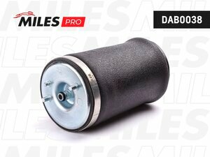 Пневмобаллон BMW X5 E53 w/Rear Leveling 00-06 задн. прав.