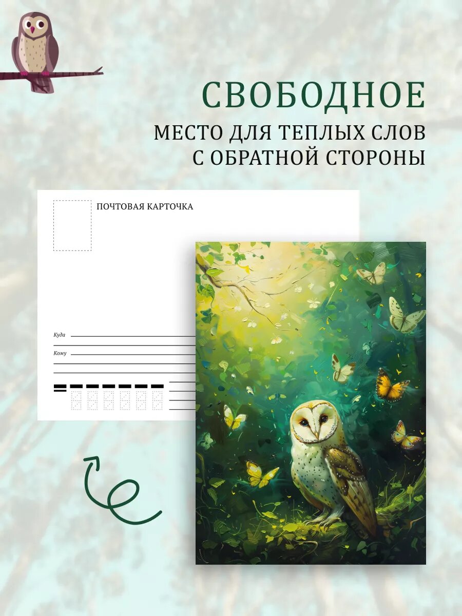 А6 Открытки совы и природа Самые лучшие большие открытки формата А6 в нашем мгазине Обнимай словами — фото 1