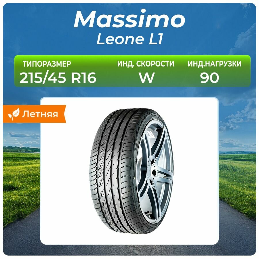 Шина Massimo Leone L1