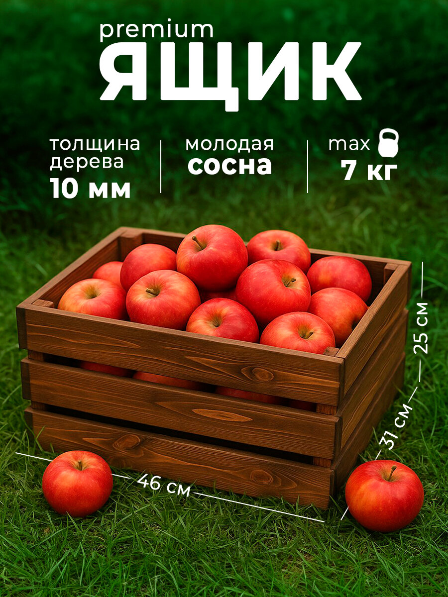 Контейнер для хранения Bergwolf, деревянный, массив, 46*31*25см, 35,6л, до 7кг, покрыт премиум маслом, цвет золотистый