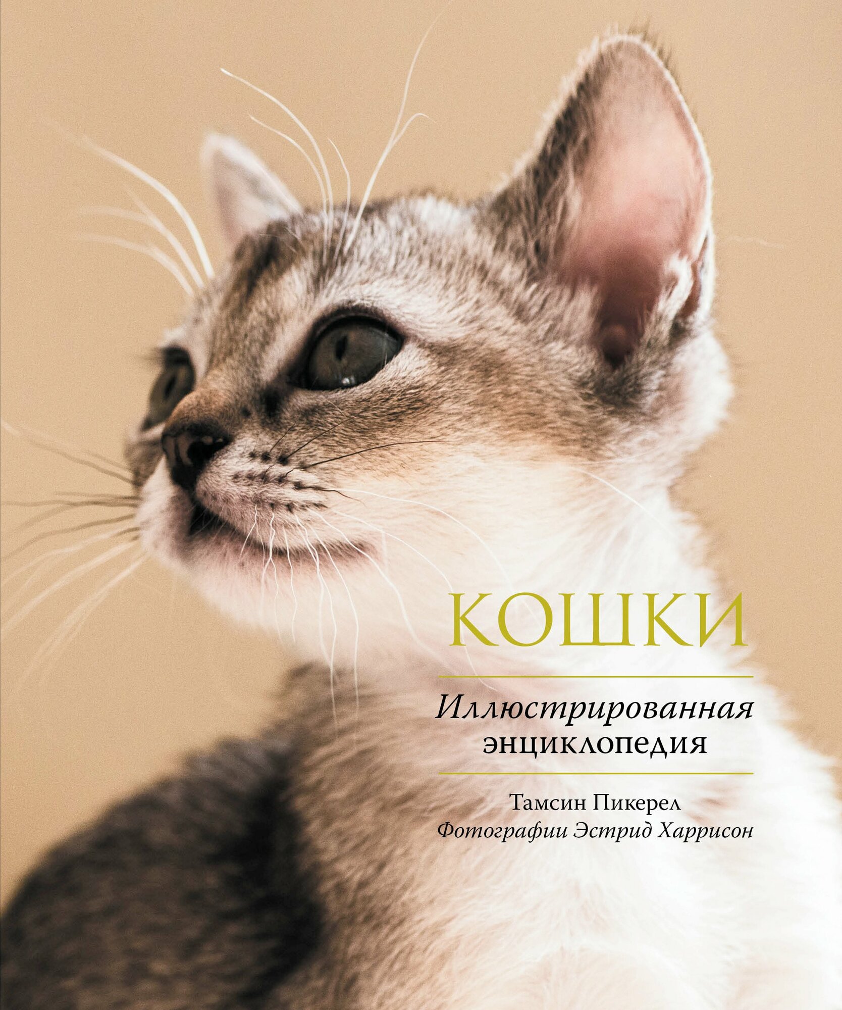 Кошки. Иллюстрированная энциклопедия (Тамсин Пикерел)