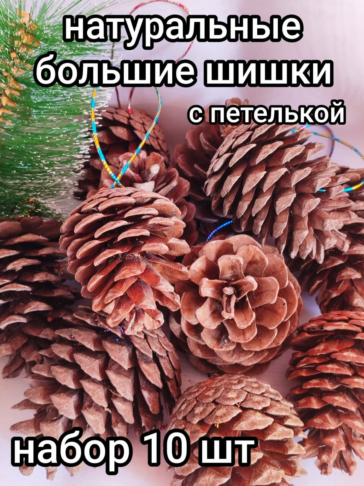 Набор шишек натуральных 10 штук "Королевские" с петелькой , дерево , размер 8-10 см . Замечательное украшение к новому году , подходят на сосну и ель.