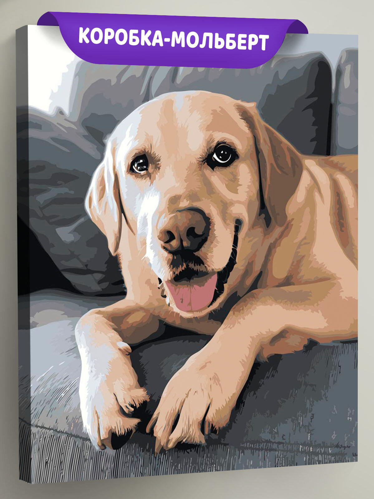 Картина по номерам на холсте с подрамником 40x50 "Собака лабрадор ретривер на диване" Животные