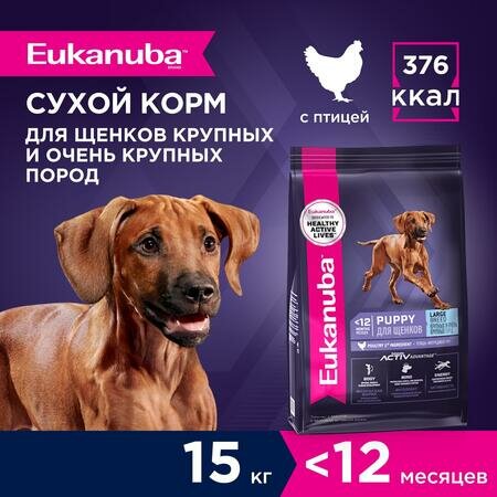EUKANUBA PUPPY LARGE BREED 15 кг сухой корм для щенков крупных пород