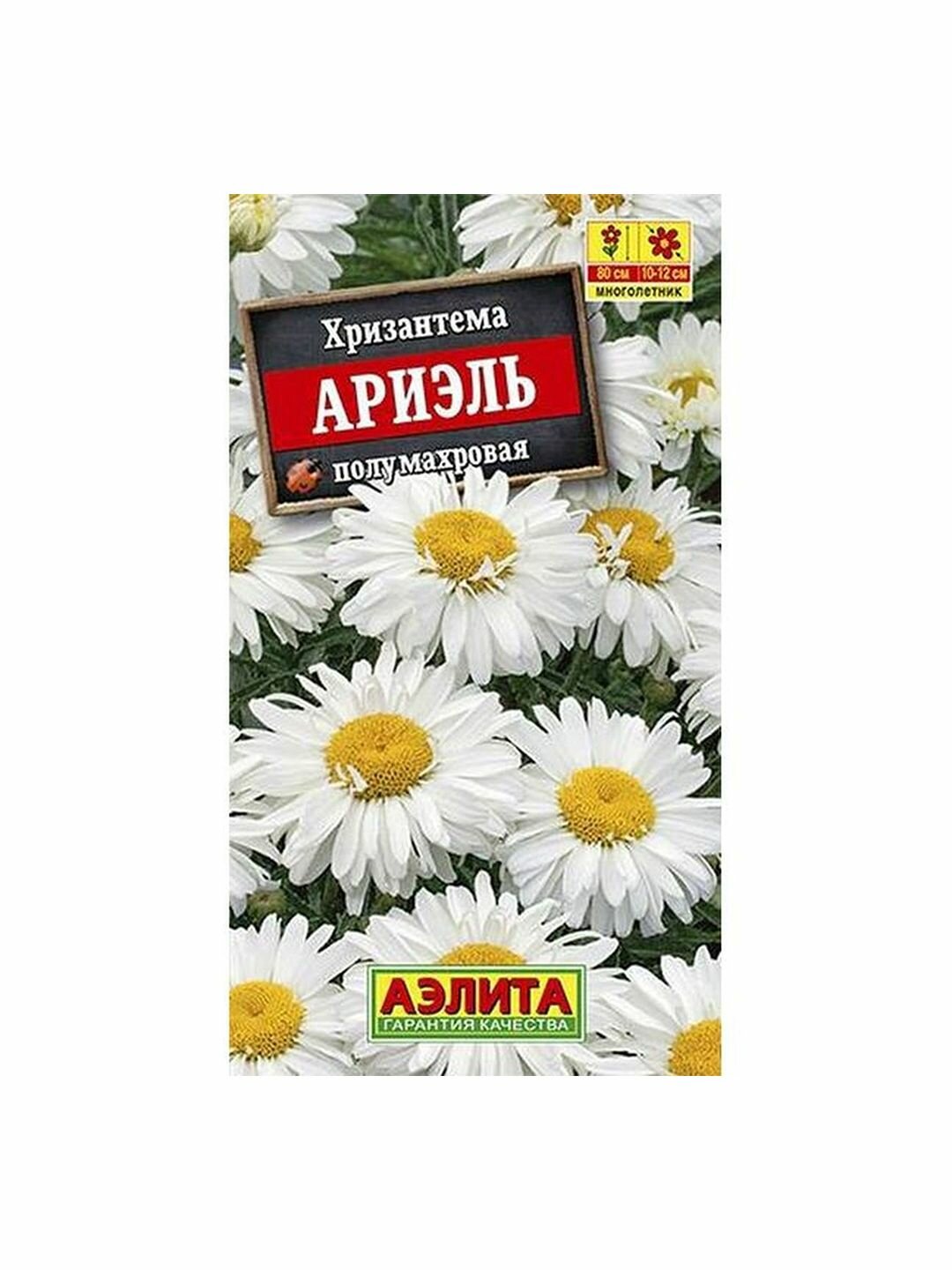 Семена Хризантема Ариэль, многолетние, Аэлита, 1 пачка - 0.1г семян