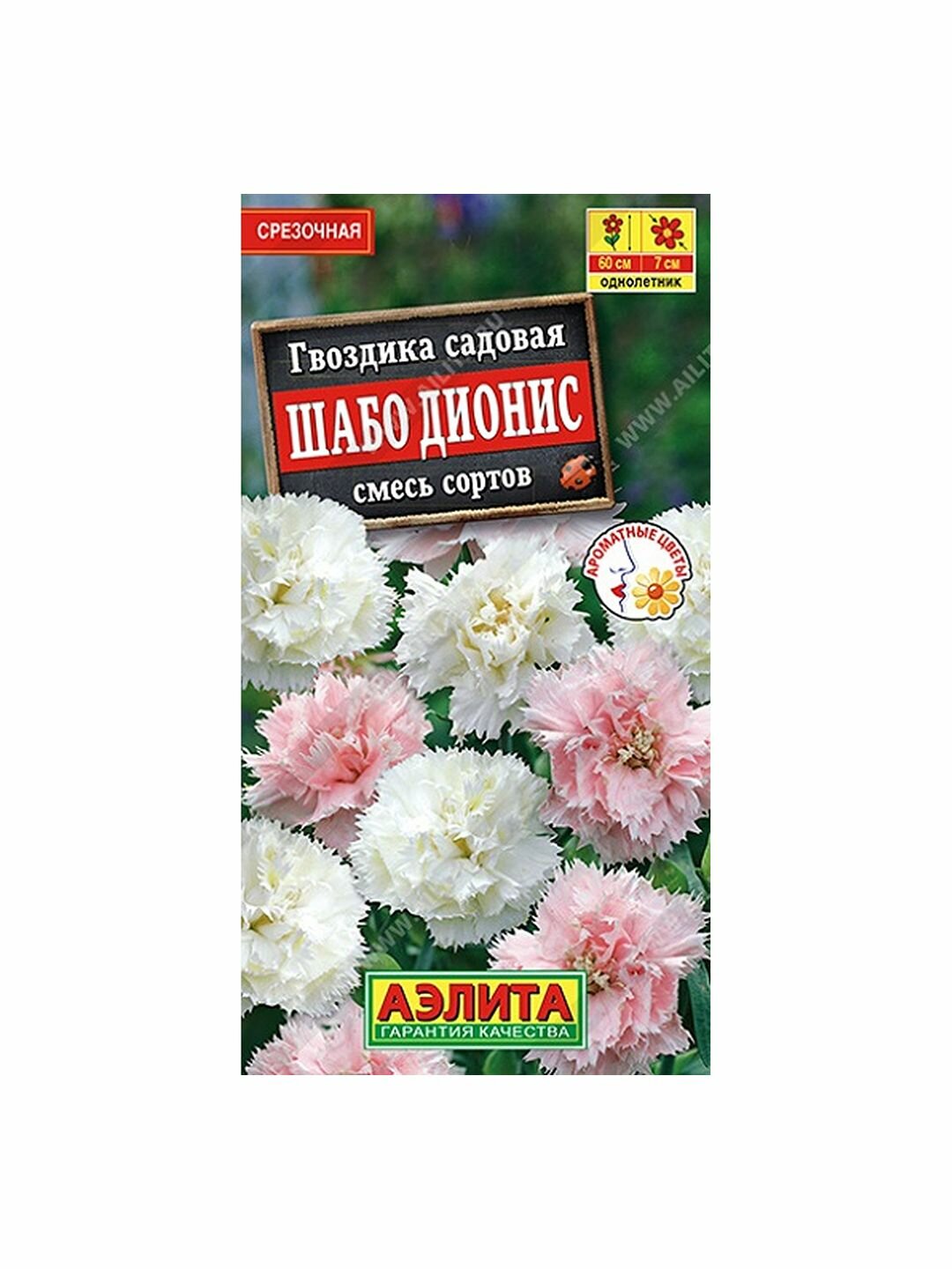 Семена Гвоздика садовая Шабо Дионис, смесь сортов, однолетник, Аэлита, 1 пачка - 0.05г семян