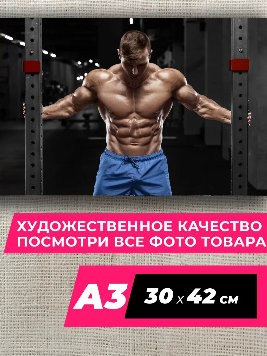 Постер бодибилдинг на стену 55 размер A3, матовая фотобумага премиум качества