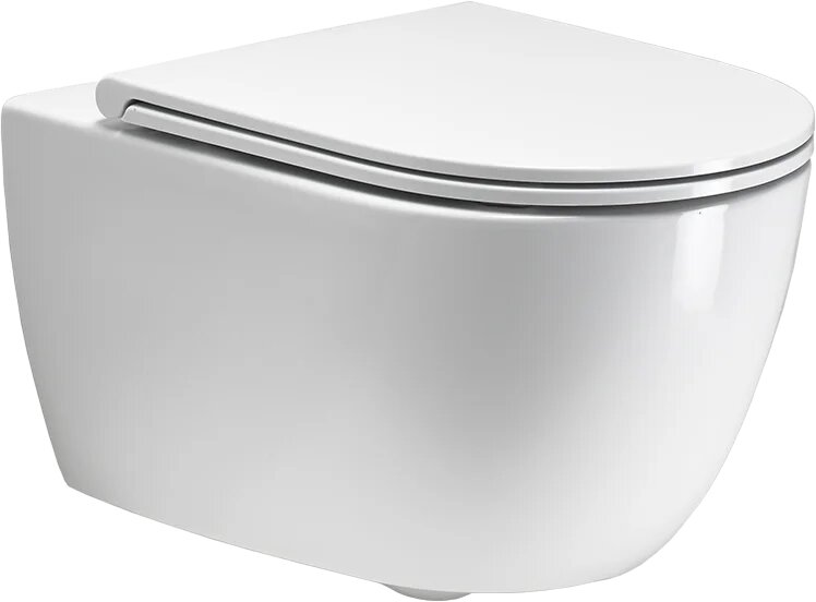 Унитаз подвесной Simas Trevi TR 18 bia с микролифтом, безободковый, без бачка, фаянсовый, белый, овальный