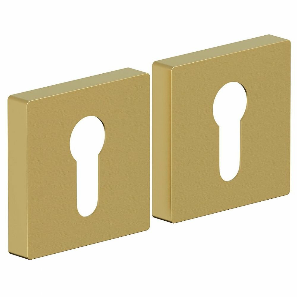Дверная Накладка Bravo AS-6CL SGold / Браво.