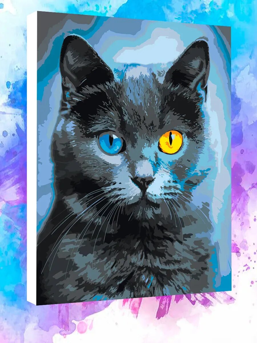 Картина по номерам Кот с цветными глазами Животные