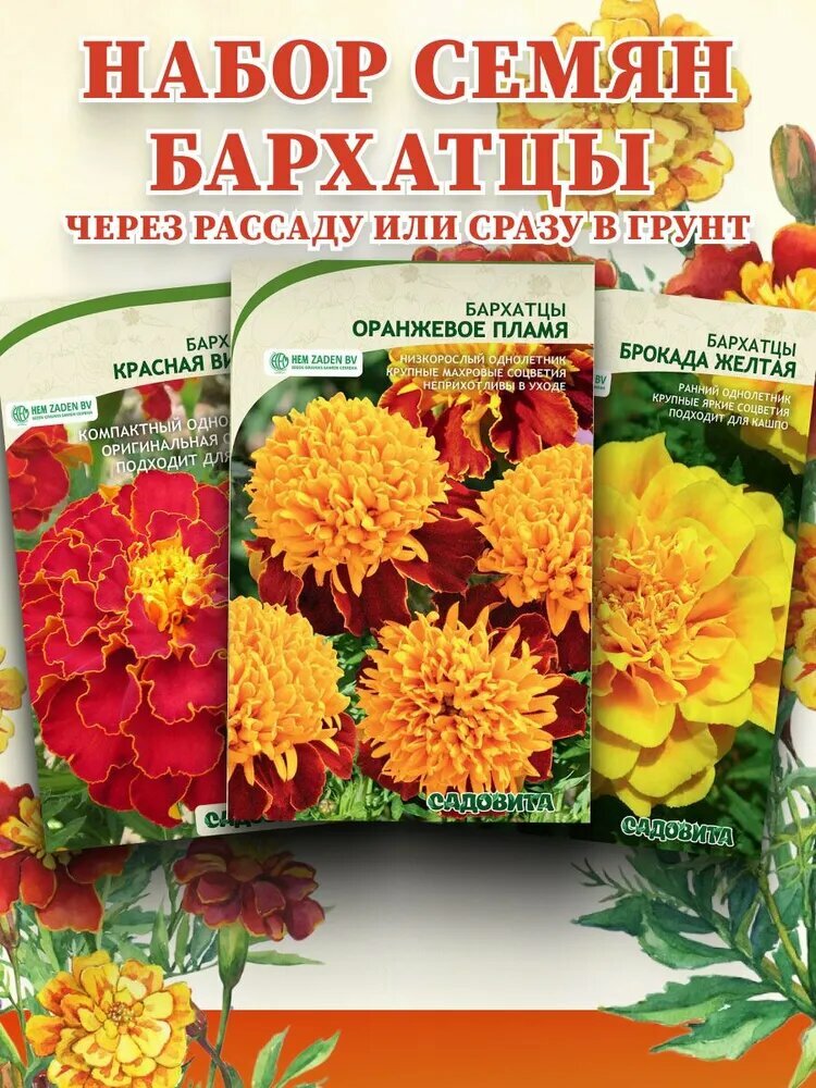 Набор семян Бархатцы 3 штуки " Красная вишня, Оранжевое пламя, Брокада Жёлтая"