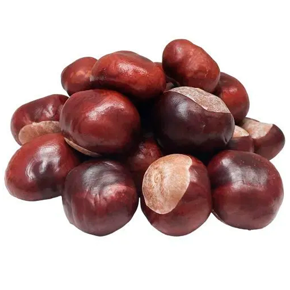 Плоды каштана конского 1000 гр.