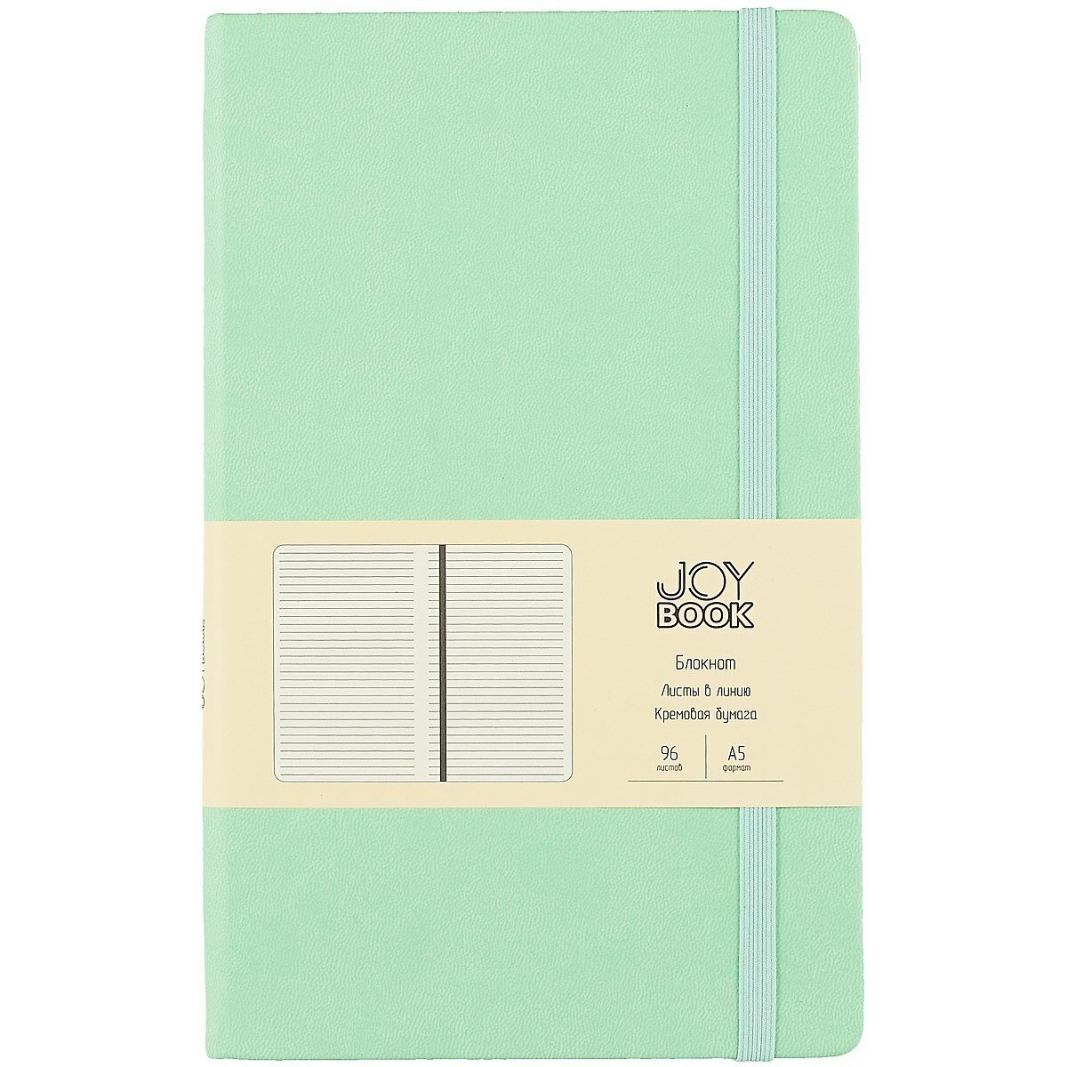 Книга для записей А5 96л лин. "Joy Book. Снежная мята" иск. кожа, тв. переплет, ляссе, резинка, инд. уп.