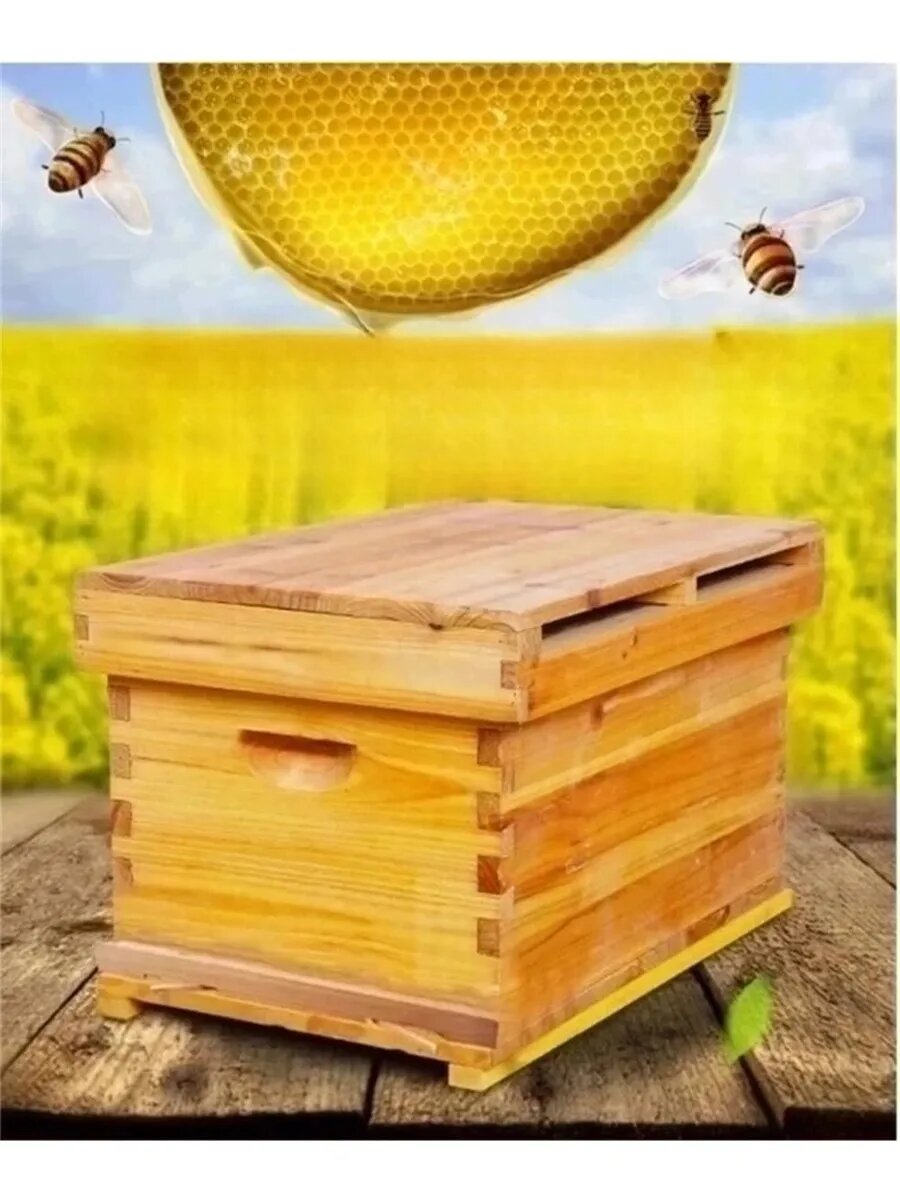 Стандартный улей