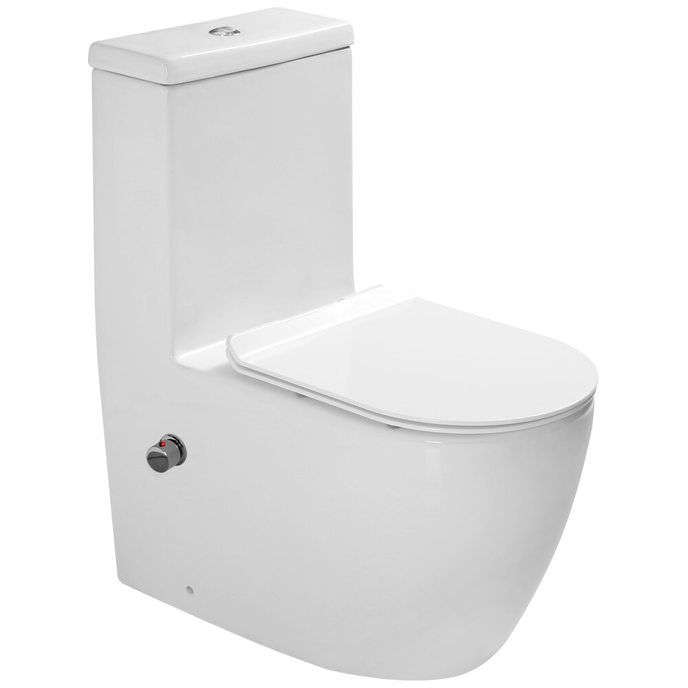 Унитаз SantiLine SL-5011SM-BD моноблок безободковый с функцией биде и смесителем