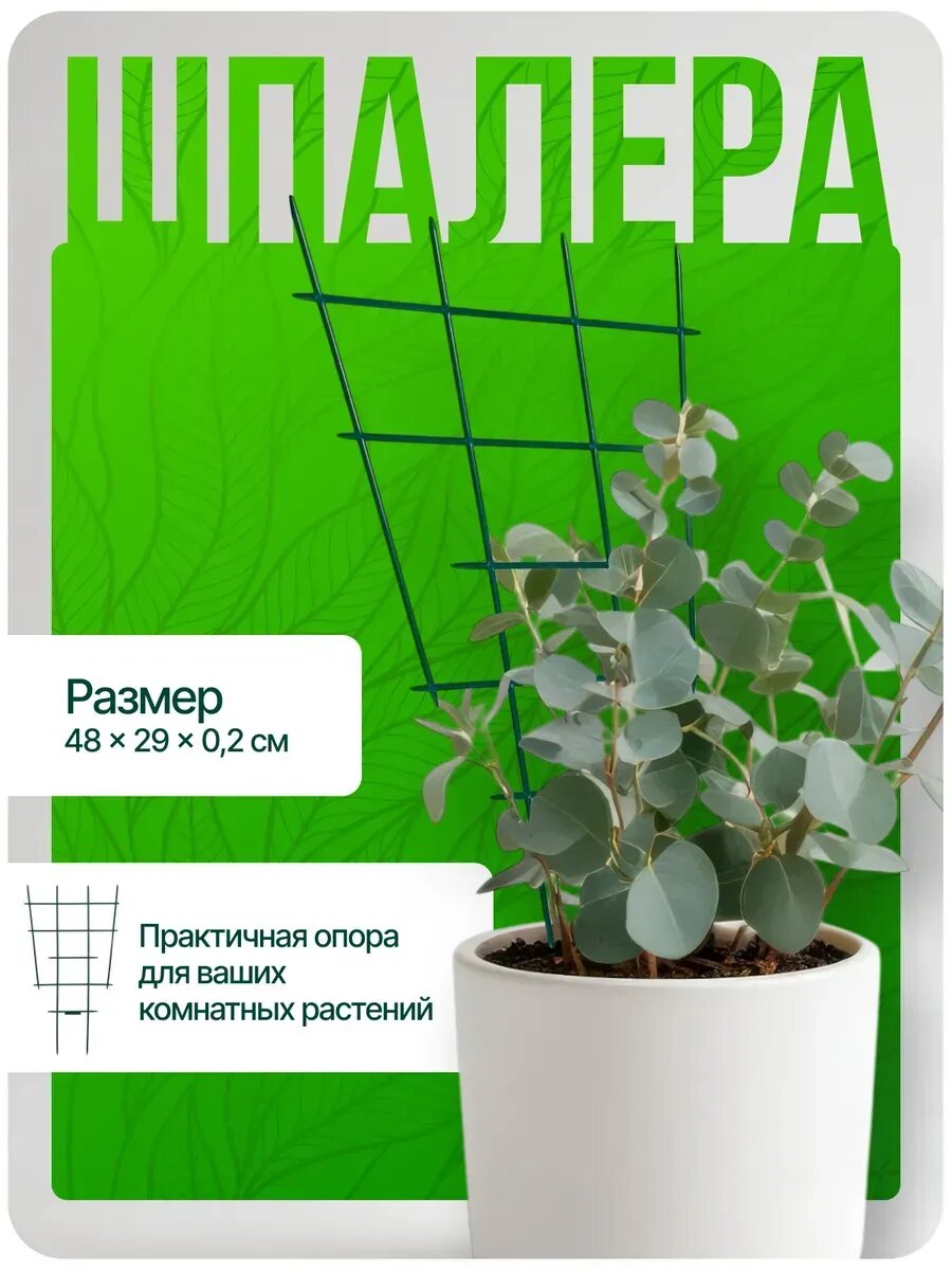 Шпалера для комнатных растений