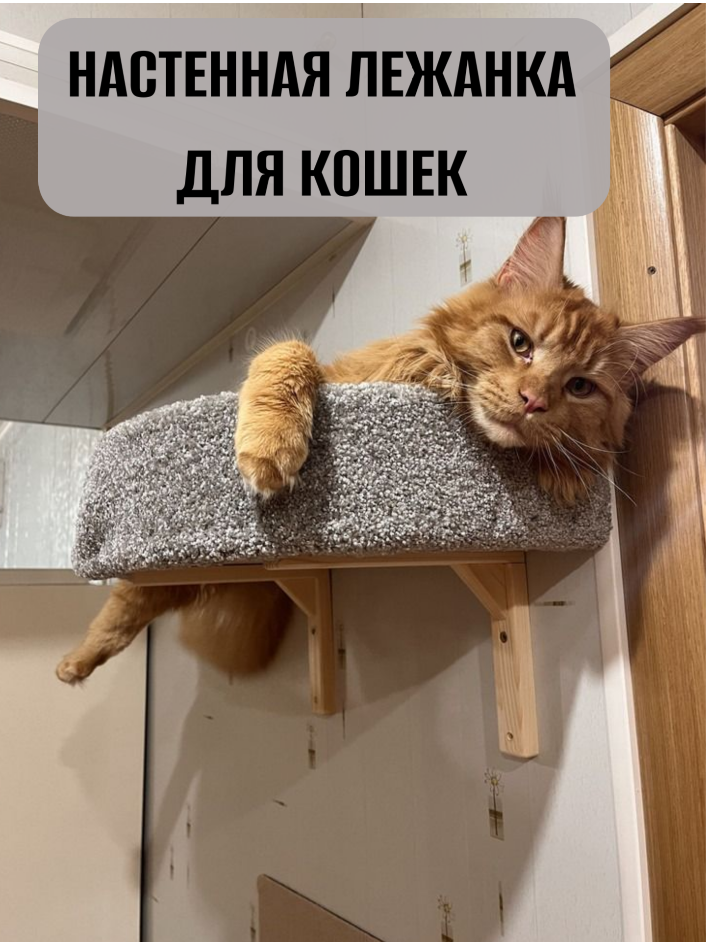 Лежанка для кошек, Моя Котя, настенная, с правым бортиком, светло-серая, ковролин, 50х30х10 см