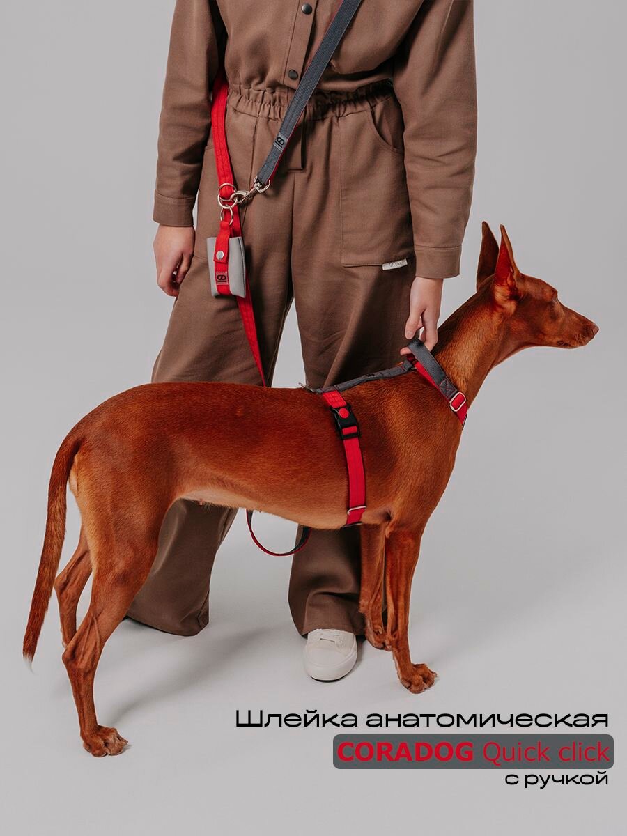 Шлейка с ручкой прогулочная анатомическая для средних и крупных пород собак, CORADOG Quick click, размер M, цвет красный, серый
