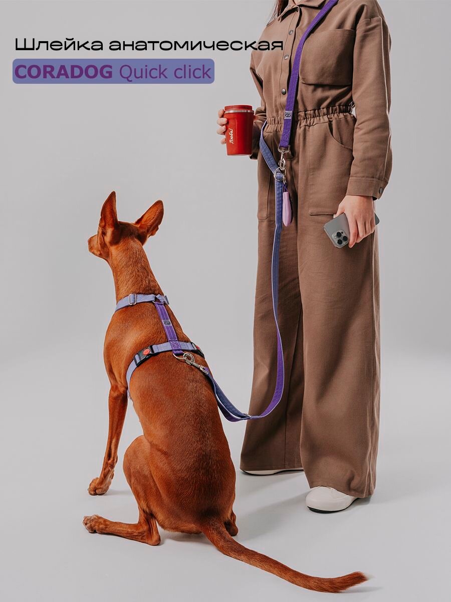 Шлейка прогулочная анатомическая для средних пород собак, CORADOG Quick click, размер S, цвет сиреневый, фиолетовый