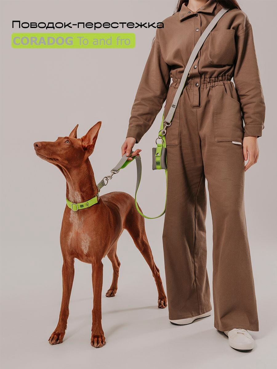Поводок-перестежка для маленьких собак с ручкой контролем и подвижным кольцом hands free свободные руки, CORADOG To and fro, длина 2,5 м, цвет салатовый, серый