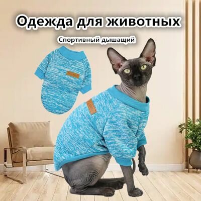 Одежда для животных