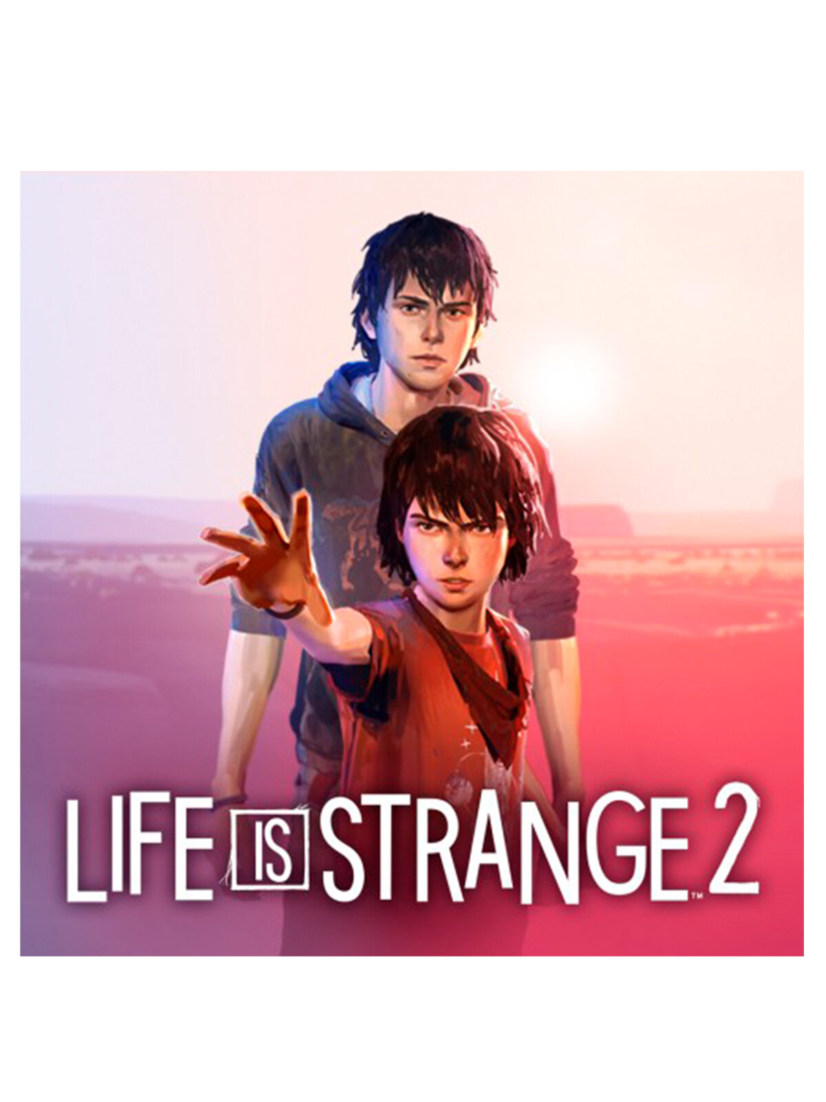 Life is Strange 2 (Nintendo Switch - Цифровая версия) на английском языке