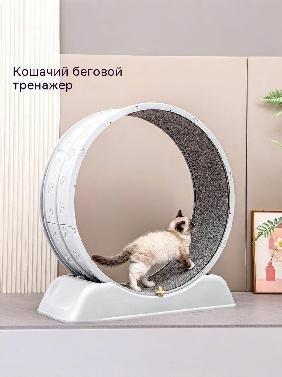Беговая дорожка для кошек