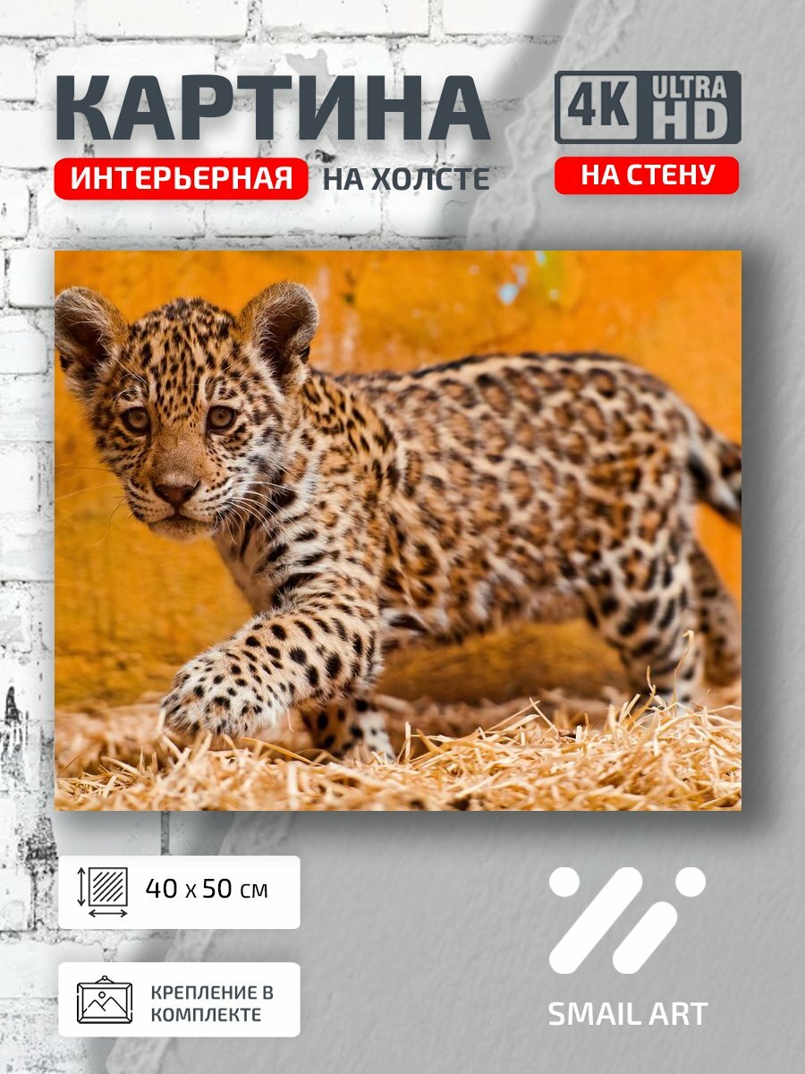 Картина на холсте интерьерная 40 на 50 на стену Ягуар Landscape для офиса пейзаж интерьер
