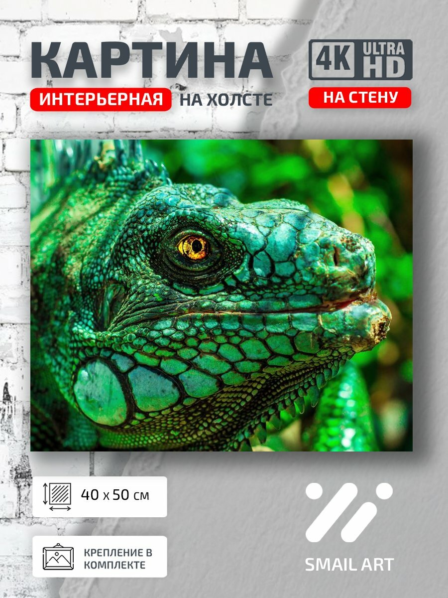 Картина на холсте интерьерная 40 на 50 на стену Хищник Mood для офиса атмосфера интерьер