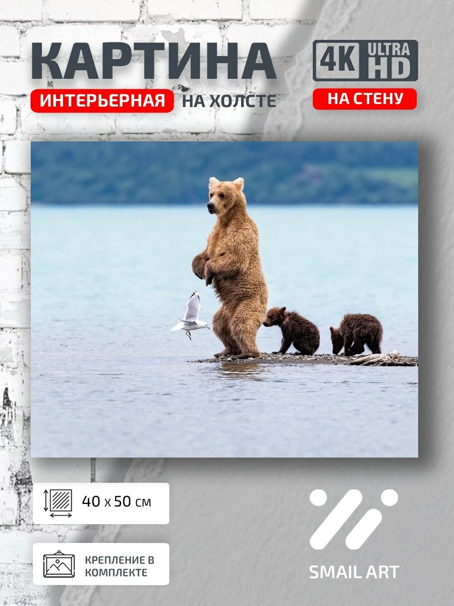 Картина на холсте интерьерная 40 на 50 на стену с медвежатами для студии атмосфера