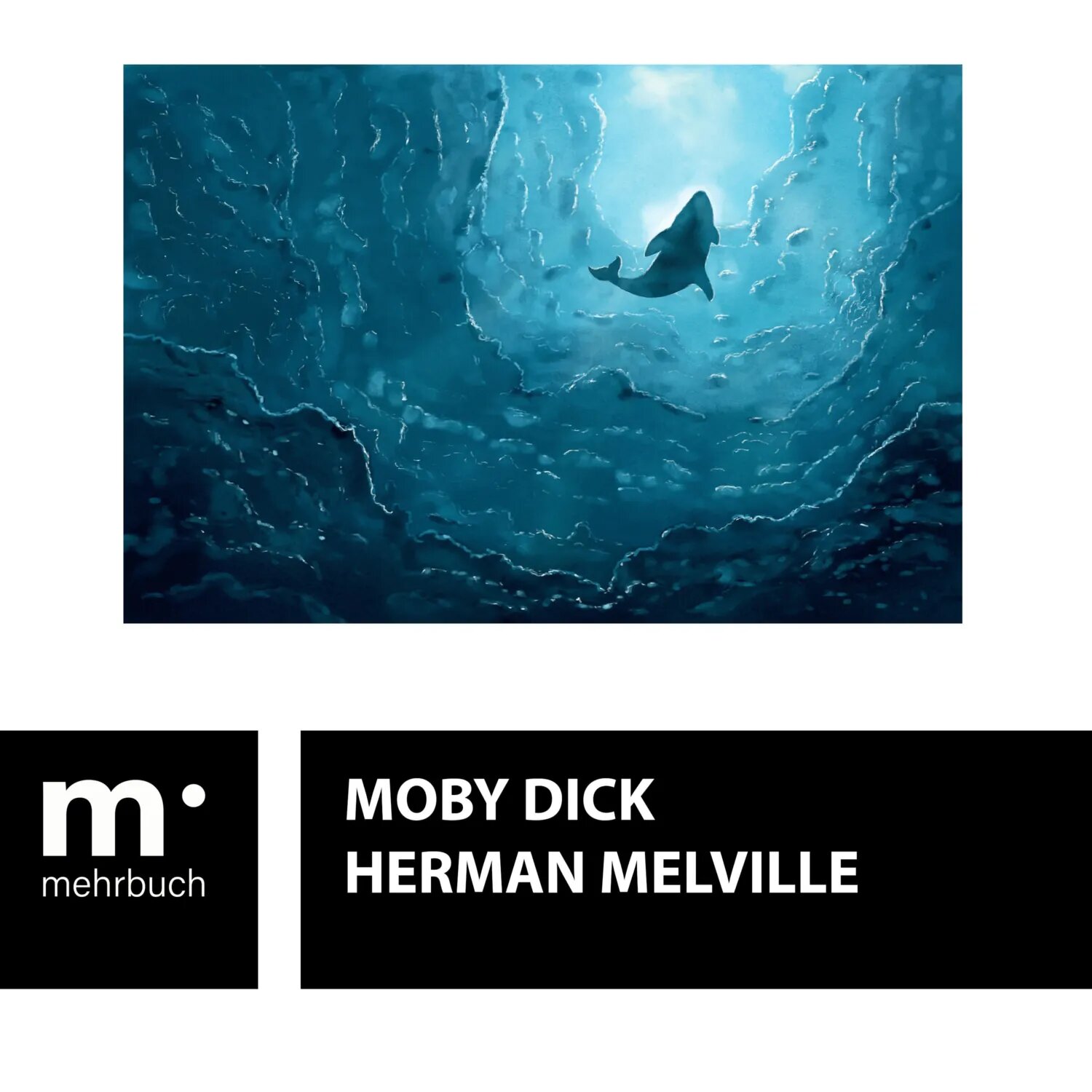 Moby Dick [Цифровая книга]