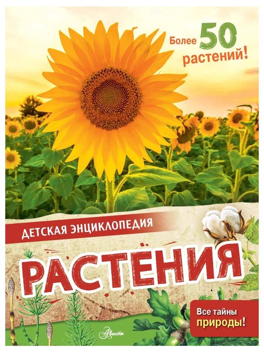 Растения