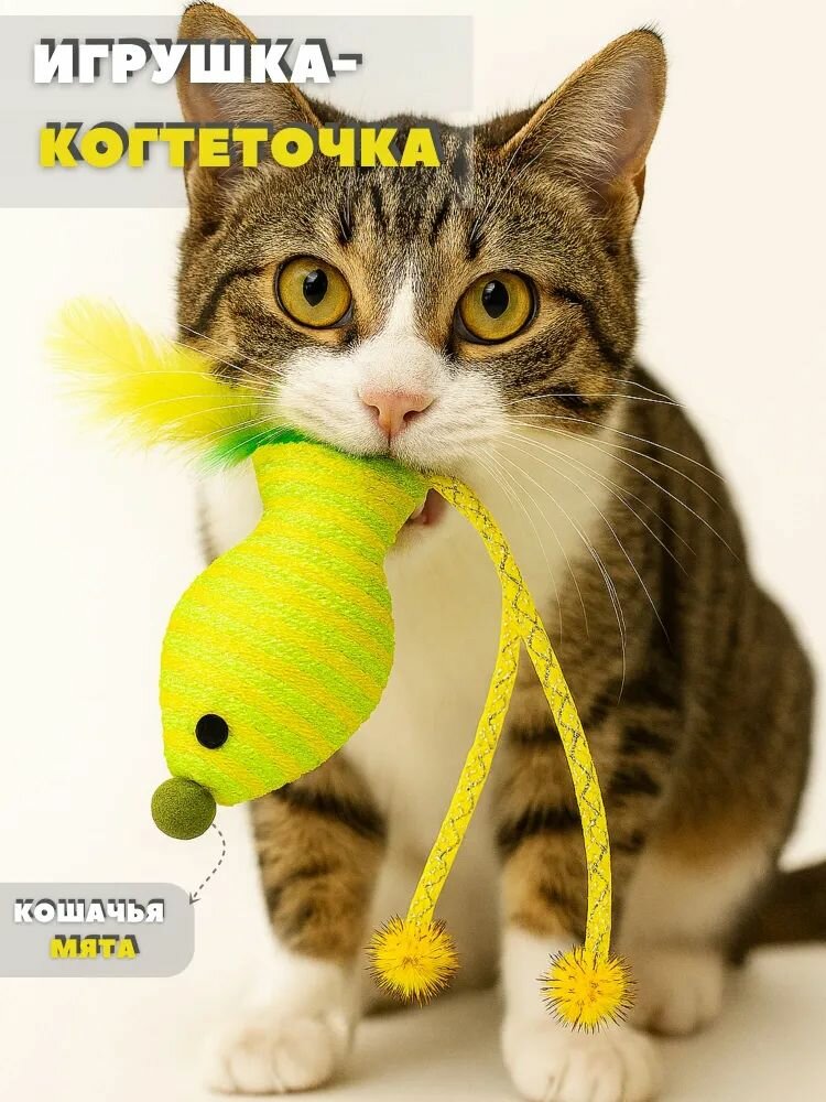 Игрушка для кошек, для котят рыбка