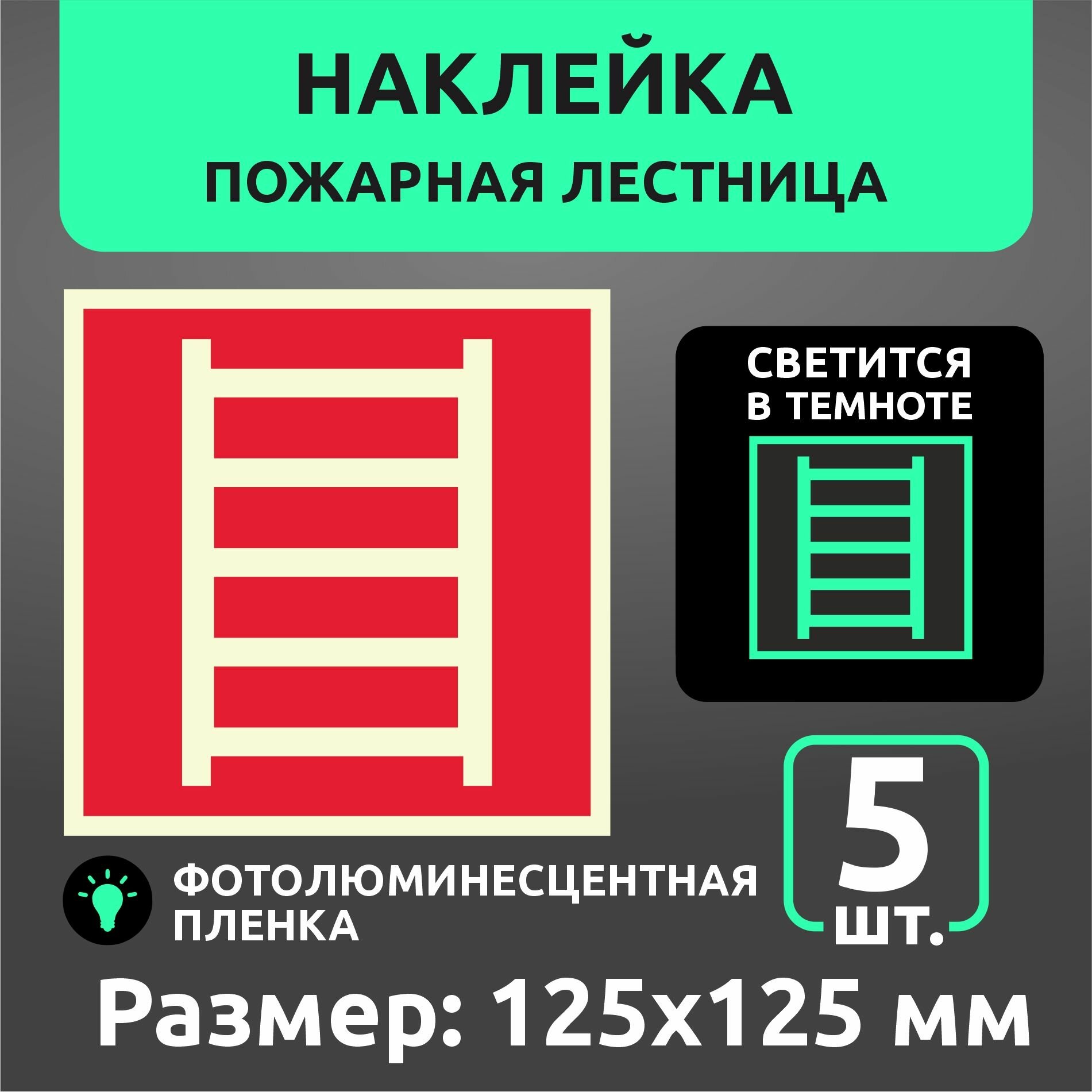 Пожарные наклейки светонакопительные F03 "Пожарная лестница" 125 х 125 мм 5 шт