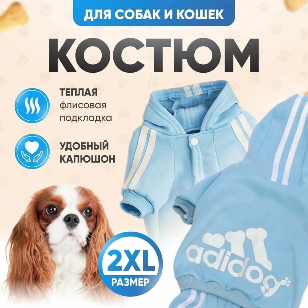 Adidog, Комбинезон для домашних животных, Одежда для собак, Спортивная куртка для собак, Костюм кошки(XXL, голубой)
