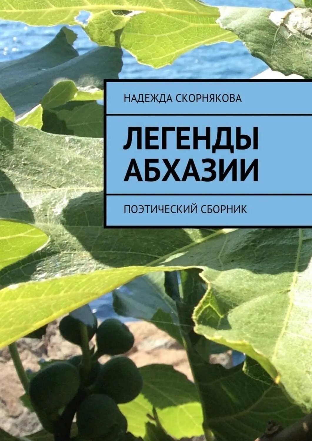 Легенды Абхазии [Цифровая книга]