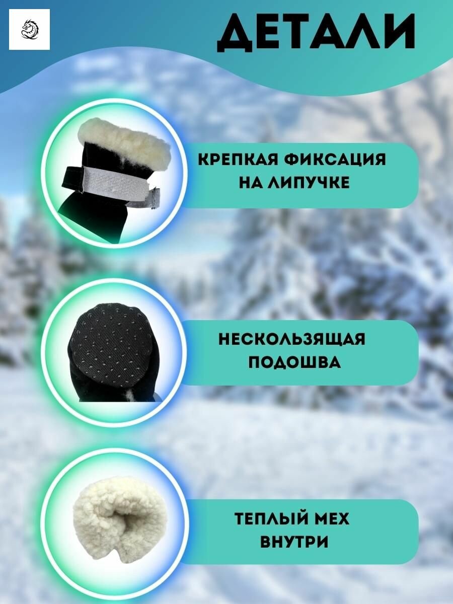 Обувь для собак — фото 1