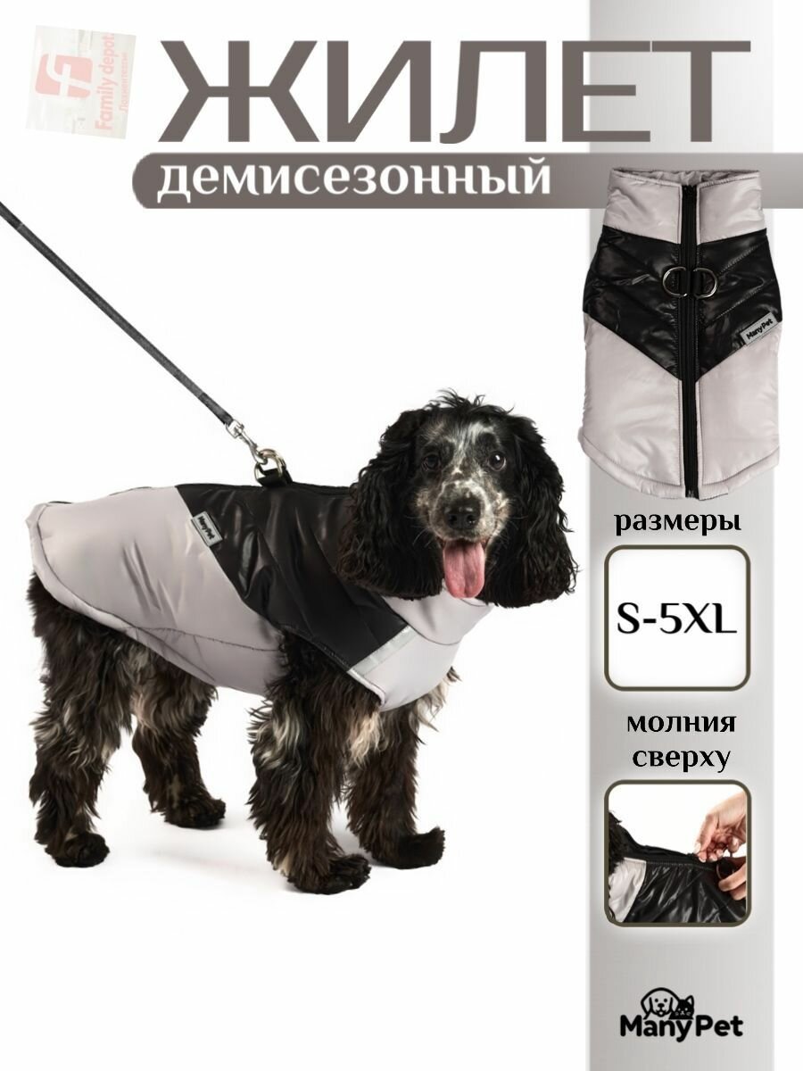 Одежда для животных