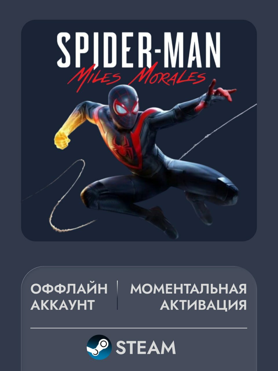 Marvel Spider Man Miles Morales Steam Оффлайн аккаунт | Моментальная выдача | Игра для ПК