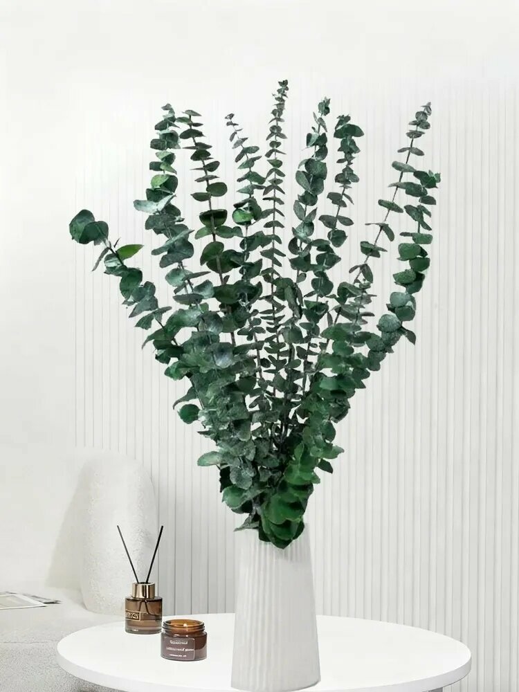 Сухоцветы Эвкалипт, 50 см, 10 шт