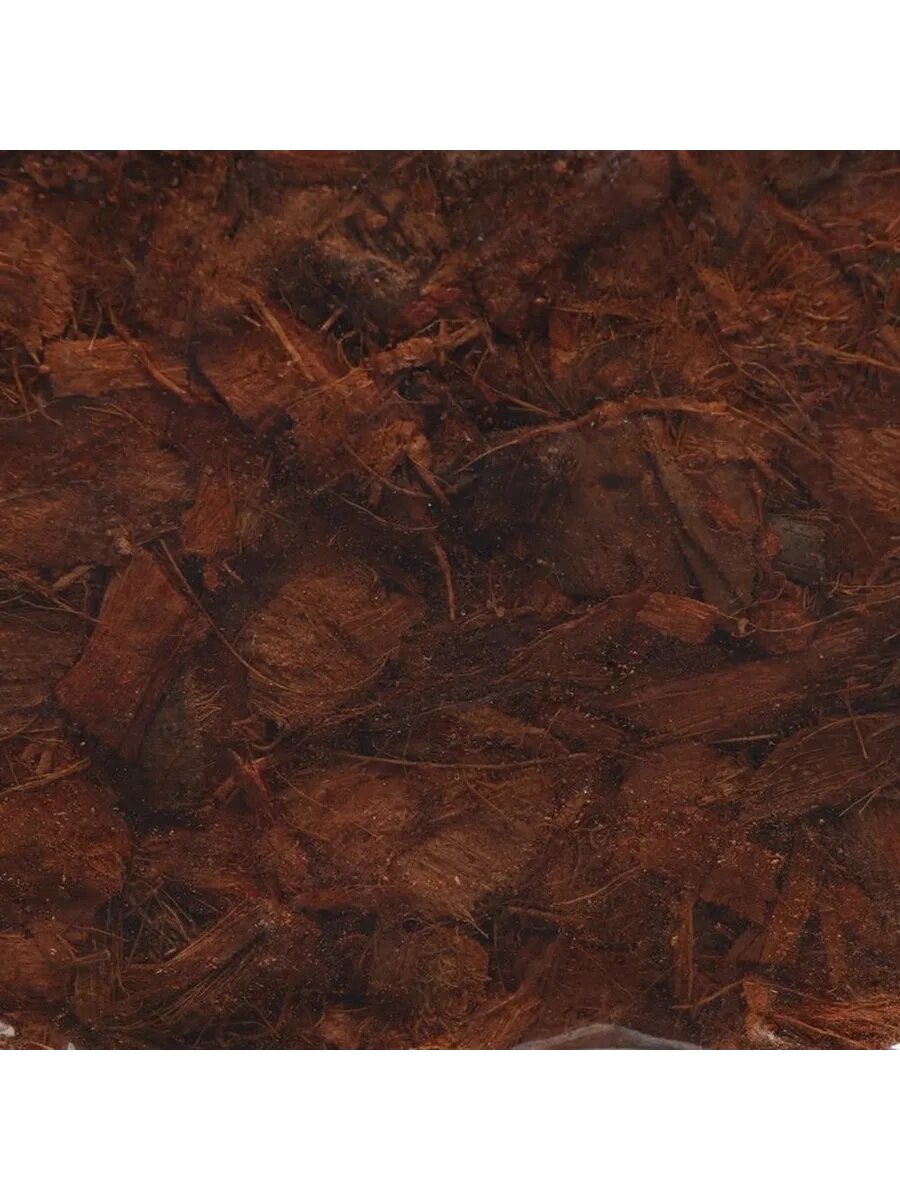 Экологичный кокосовый грунт для растений и террариумов