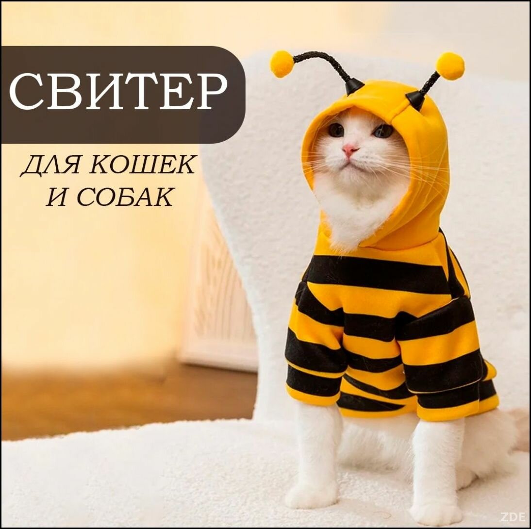 Одежда для животных — фото 1