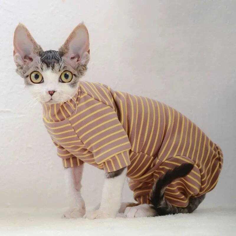 Костюм, комбинезон, худи для сфинкса-liu1978