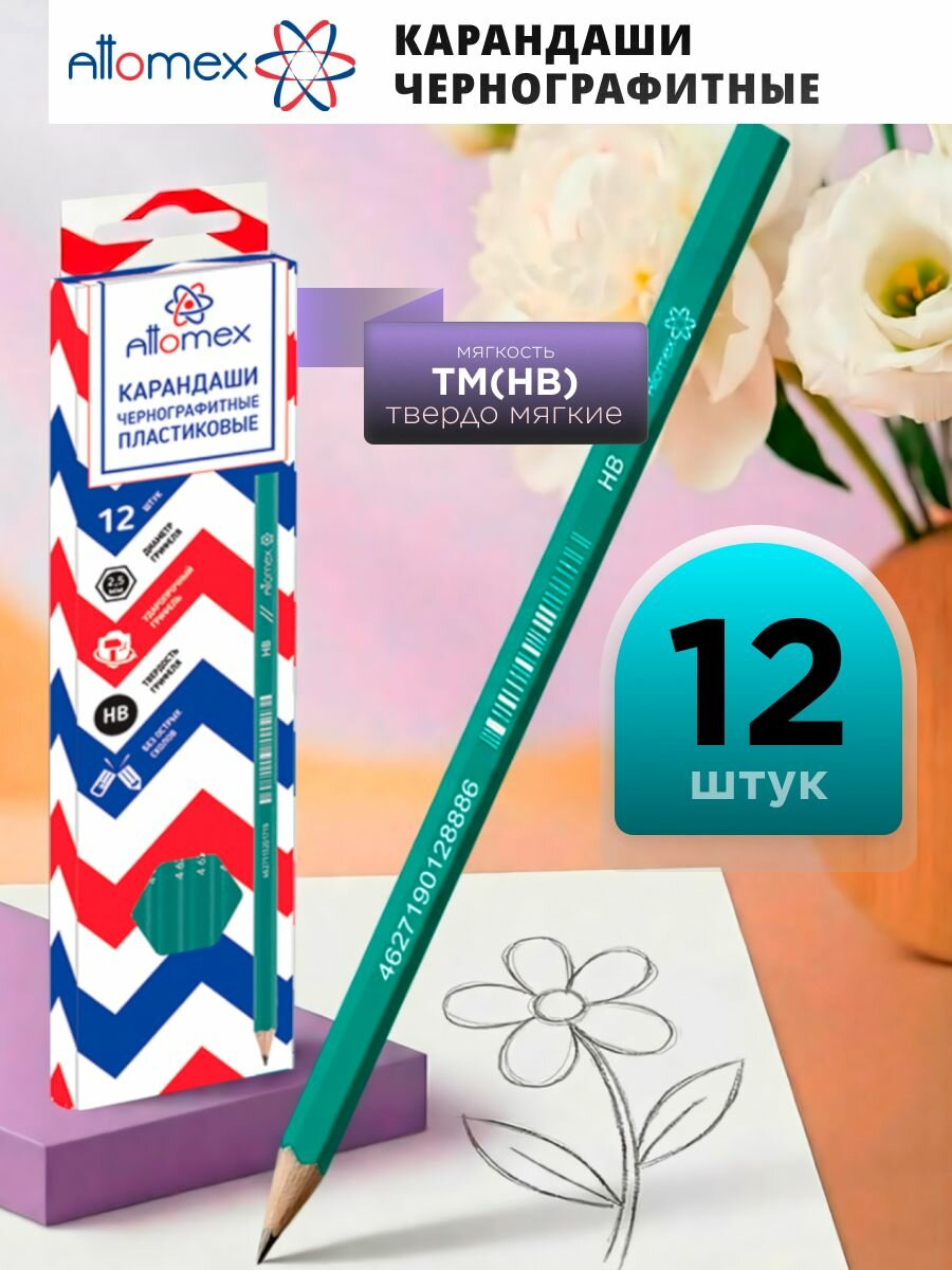 Карандаши простые чернографитные HB/ТМ 12 штук